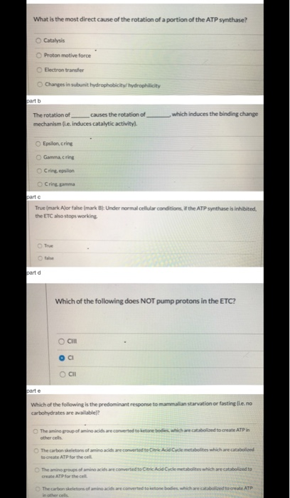 Solved What is the most direct cause of the rotation of a | Chegg.com