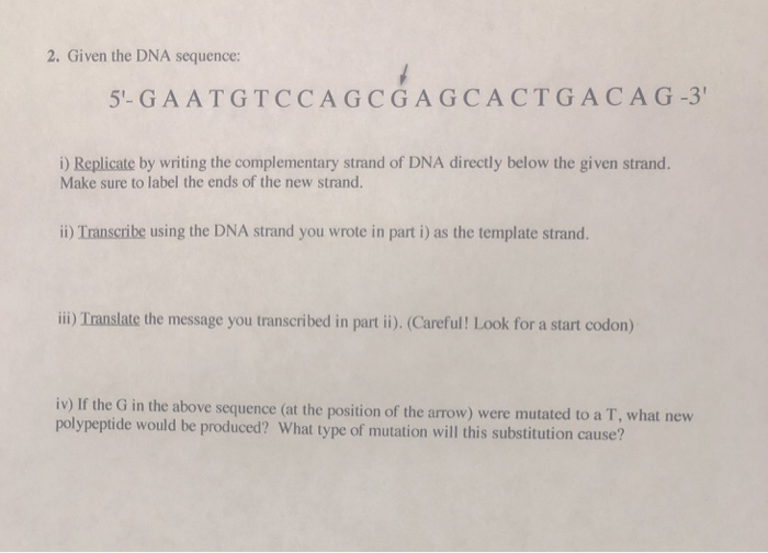 Solved 2. Given the DNA sequence: 5- GAATGTCCAGCGAGCACTGACA | Chegg.com