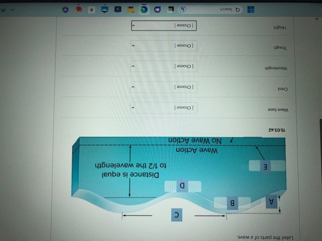 Solved Label the parts of a wave. 15.03.a2 Wave base Crest | Chegg.com