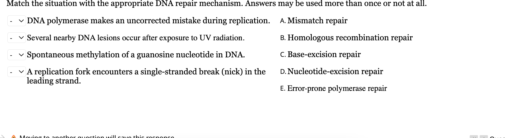 Solved DNA polymerase makes an uncorrected mistake during | Chegg.com
