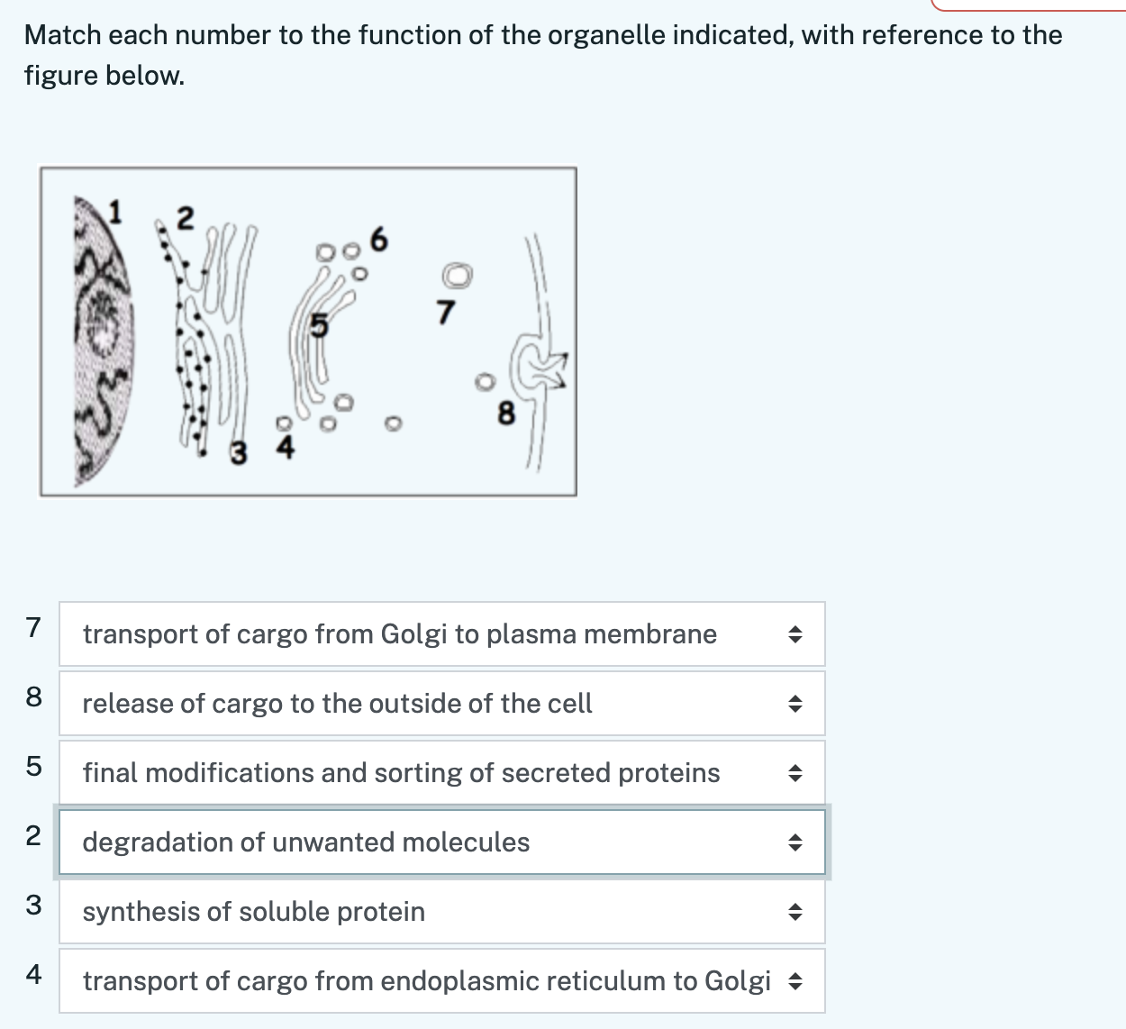 Solved Match each number to the function of the organelle | Chegg.com