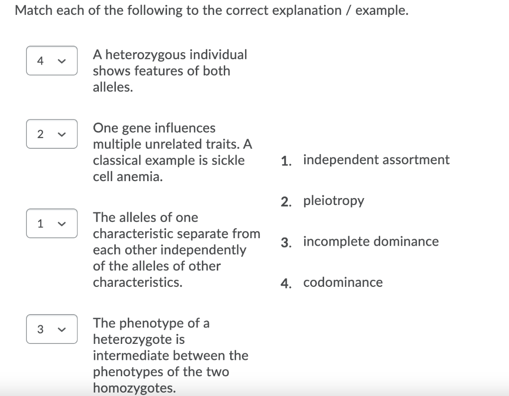 Solved Match each of the following to the correct | Chegg.com