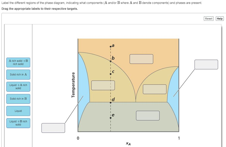 Solved A phase diagram for an alloy, the two components of | Chegg.com