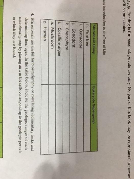 Solved 216 Microfossils and Introduction to the Tree of Life | Chegg.com