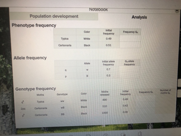 Solved Notebook Population development Analysis Enviroment: | Chegg.com
