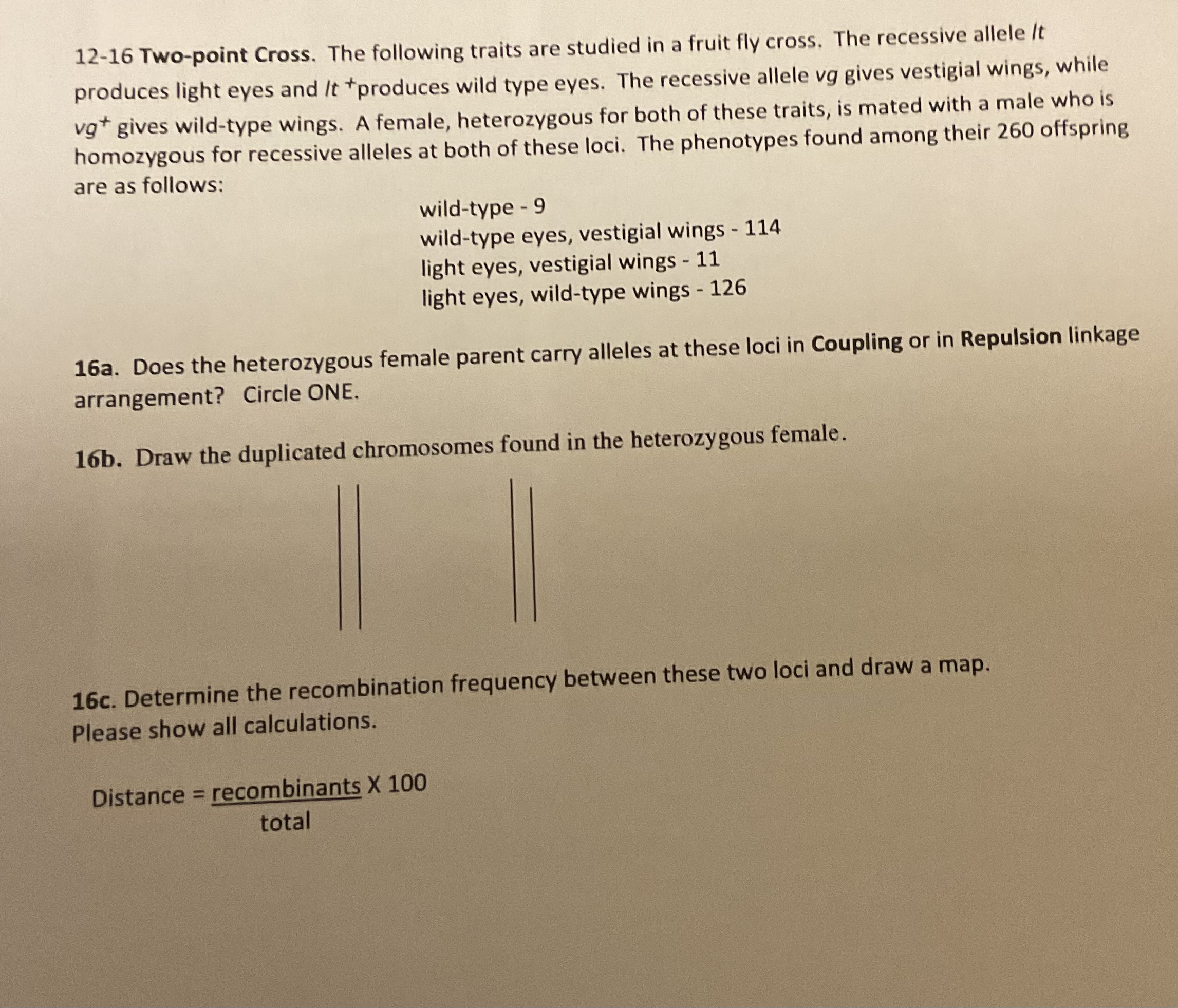 Solved 12-16 Two-point Cross. The following traits are | Chegg.com