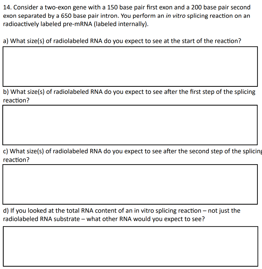 Solved 14. Consider a two-exon gene with a 150 base pair | Chegg.com