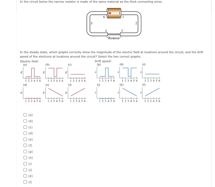 Solved In the steady state, which graphs correctly show the | Chegg.com