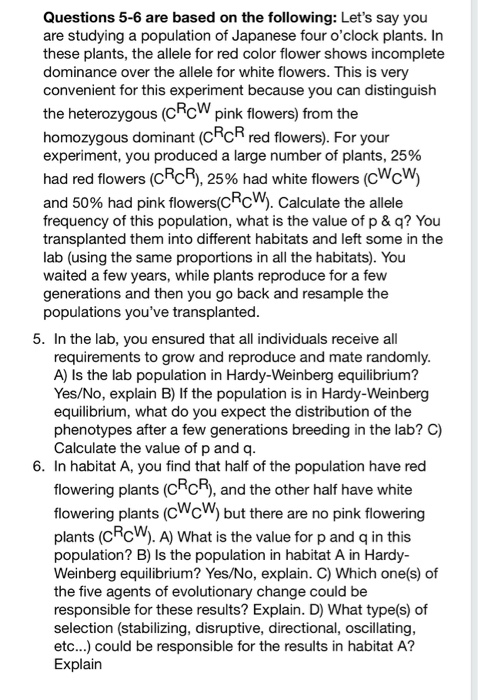 Solved Questions 5-6 are based on the following: Let's say | Chegg.com