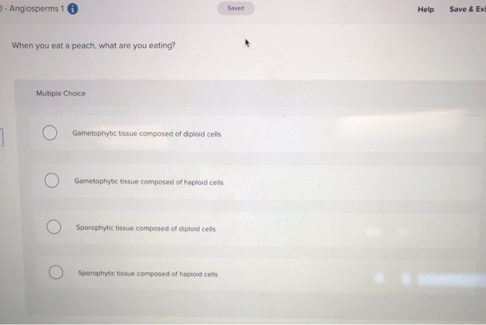 Solved - Angiosperms 1 Saved Help Save & Exi When you eat a | Chegg.com Solved - Angiosperms 1 Saved Help Save & Exi When you eat a | Chegg.com