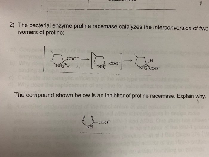 Solved 2) The bacterial enzyme proline racemase catalyzes | Chegg.com