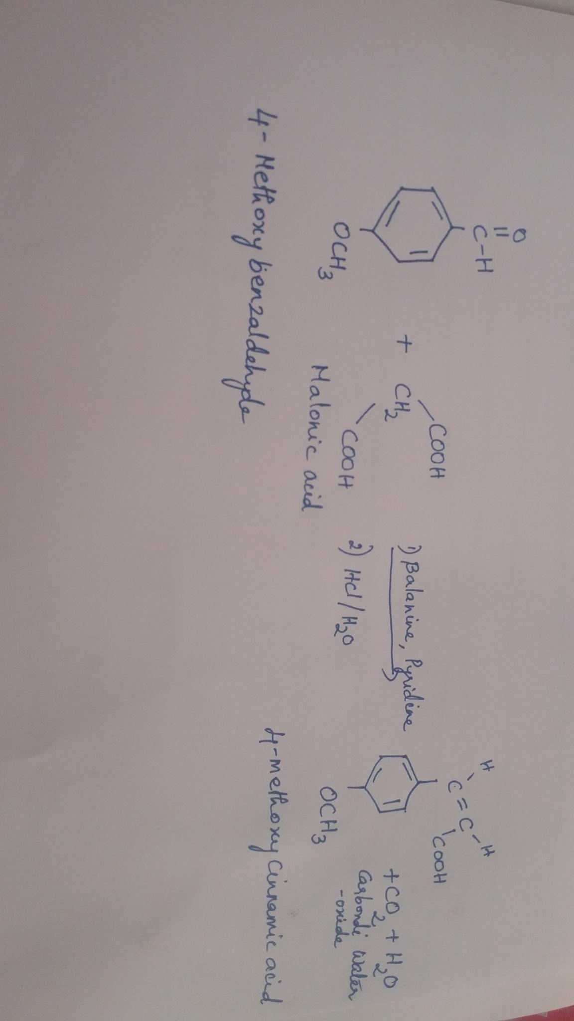 Lab Notes for the Synthesis of Cinnamic Acids The | Chegg.com