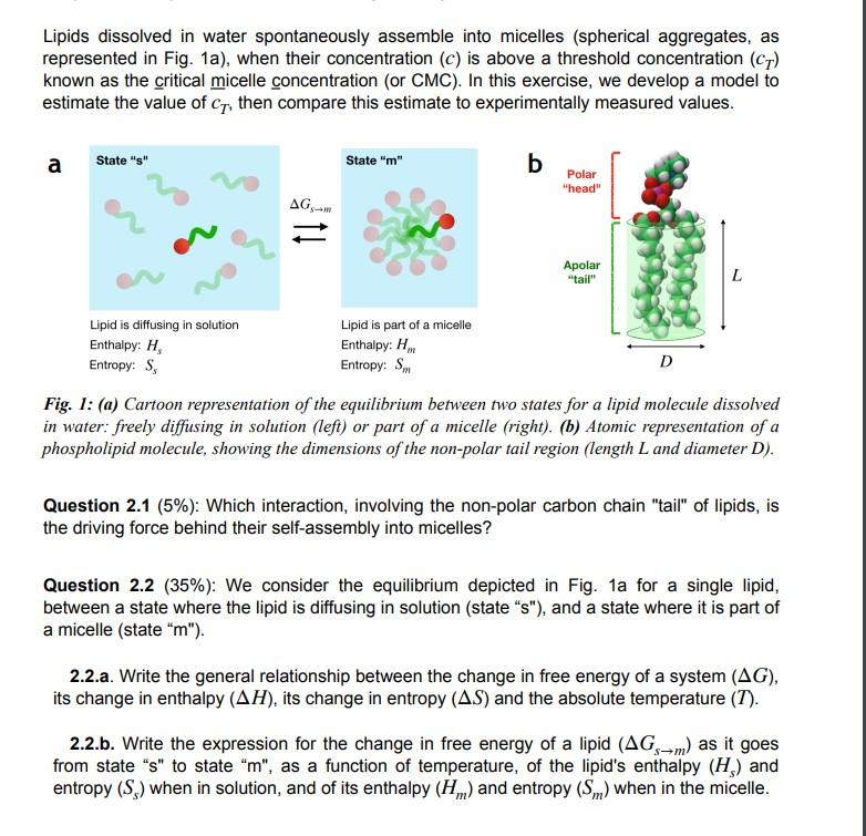Solved Lipids dissolved in water spontaneously assemble into | Chegg.com