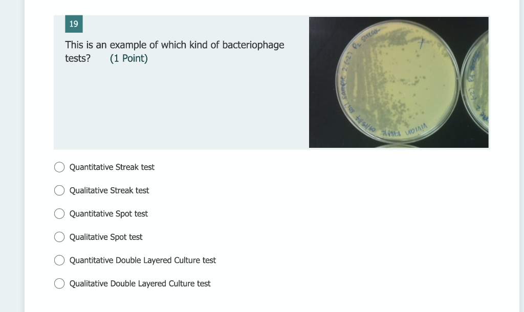 Solved This is an example of which kind of bacteriophage | Chegg.com