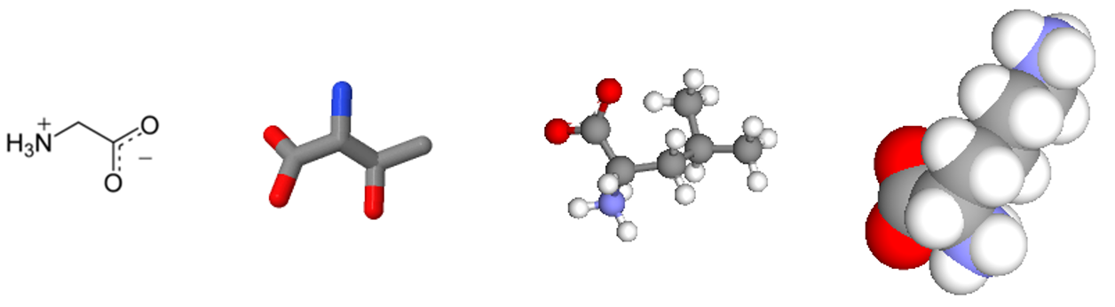 Solved Using the Fischer projections and stereochemical | Chegg.com