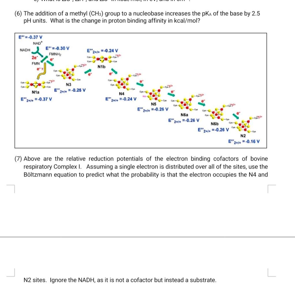 (6) The addition of a methyl (CH3) group to a | Chegg.com