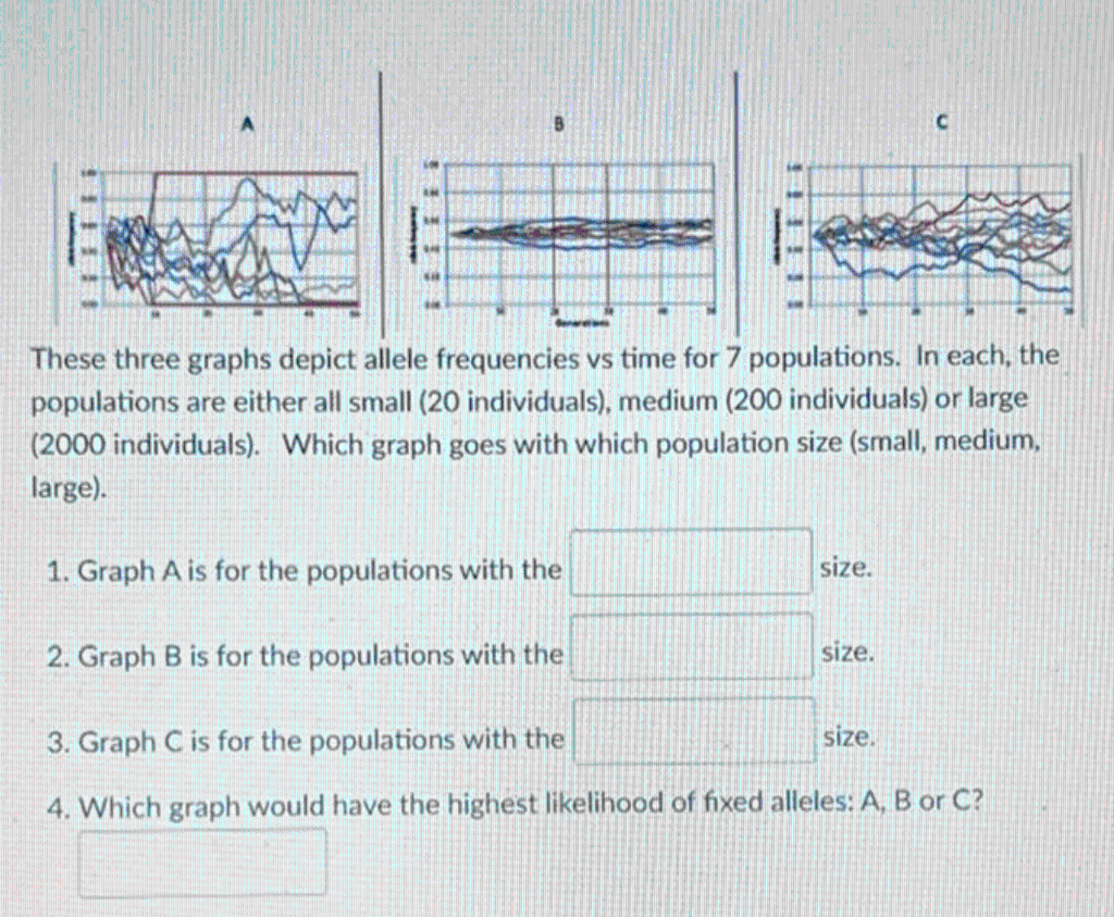Solved These three graphs depict allele frequencies vs time | Chegg.com