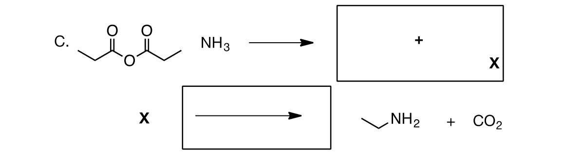 Solved NH3 NH2 + CO2 | Chegg.com