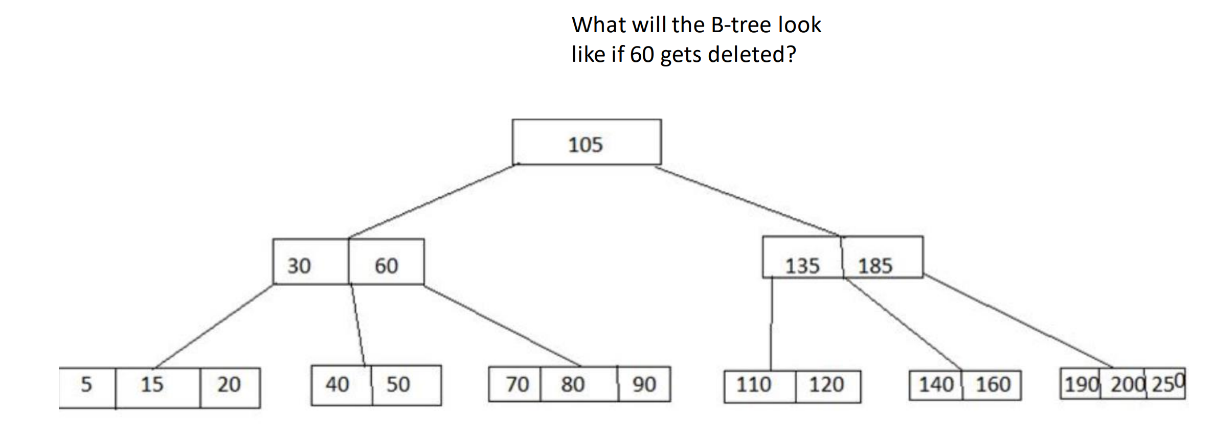 Solved What will the B-tree look like if 60 gets deleted? | Chegg.com