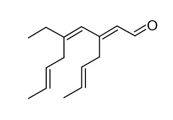 Solved HN نہ کر + CH HN, Fonts | Chegg.com