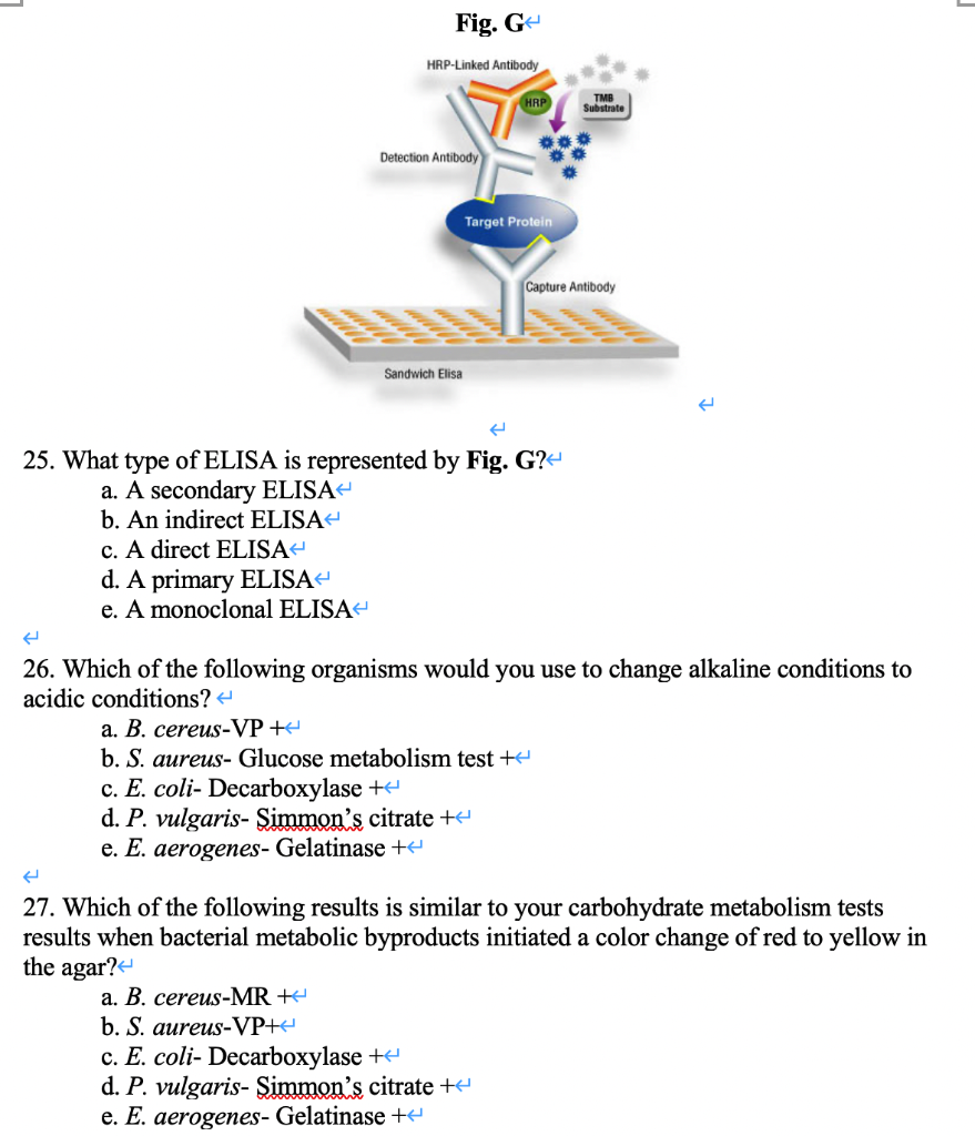 Solved Fig. G- HRP-Linked Antibody HRP TMB Substrate | Chegg.com