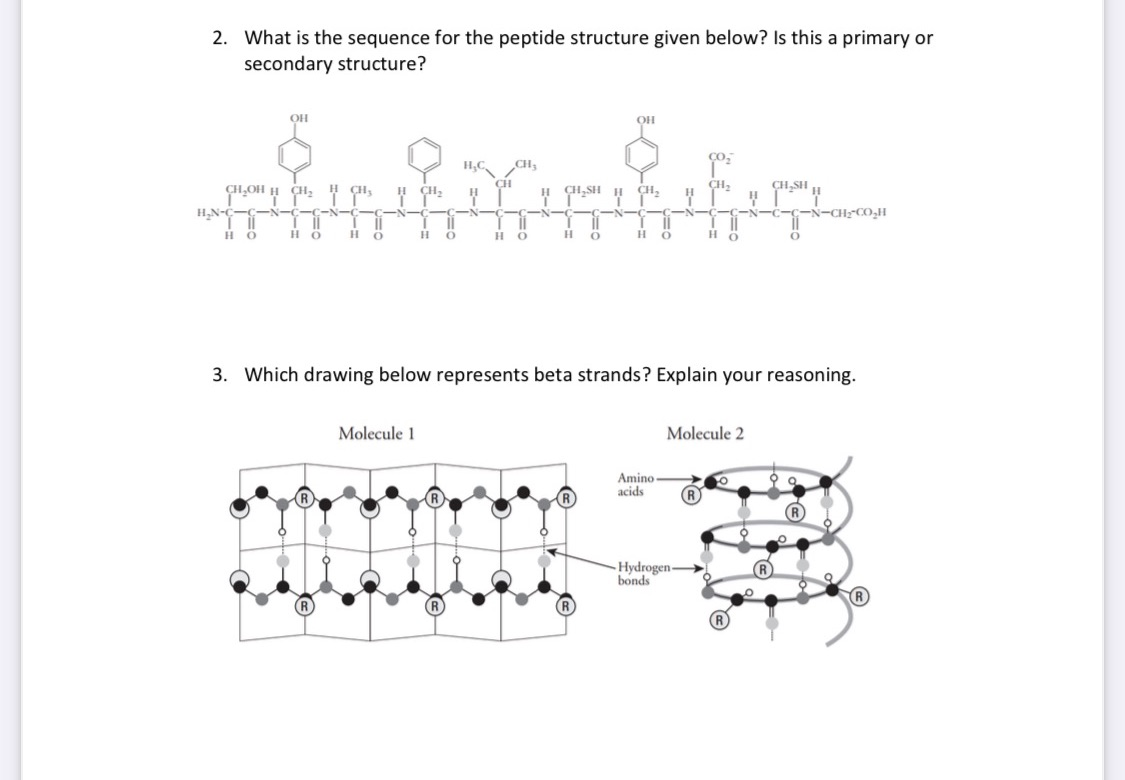 Solved 2. What is the sequence for the peptide structure | Chegg.com