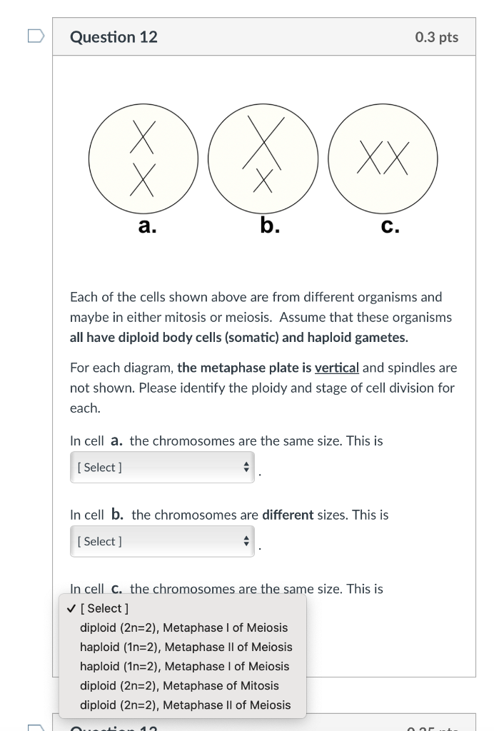 Solved Each of the cells shown above are from different | Chegg.com