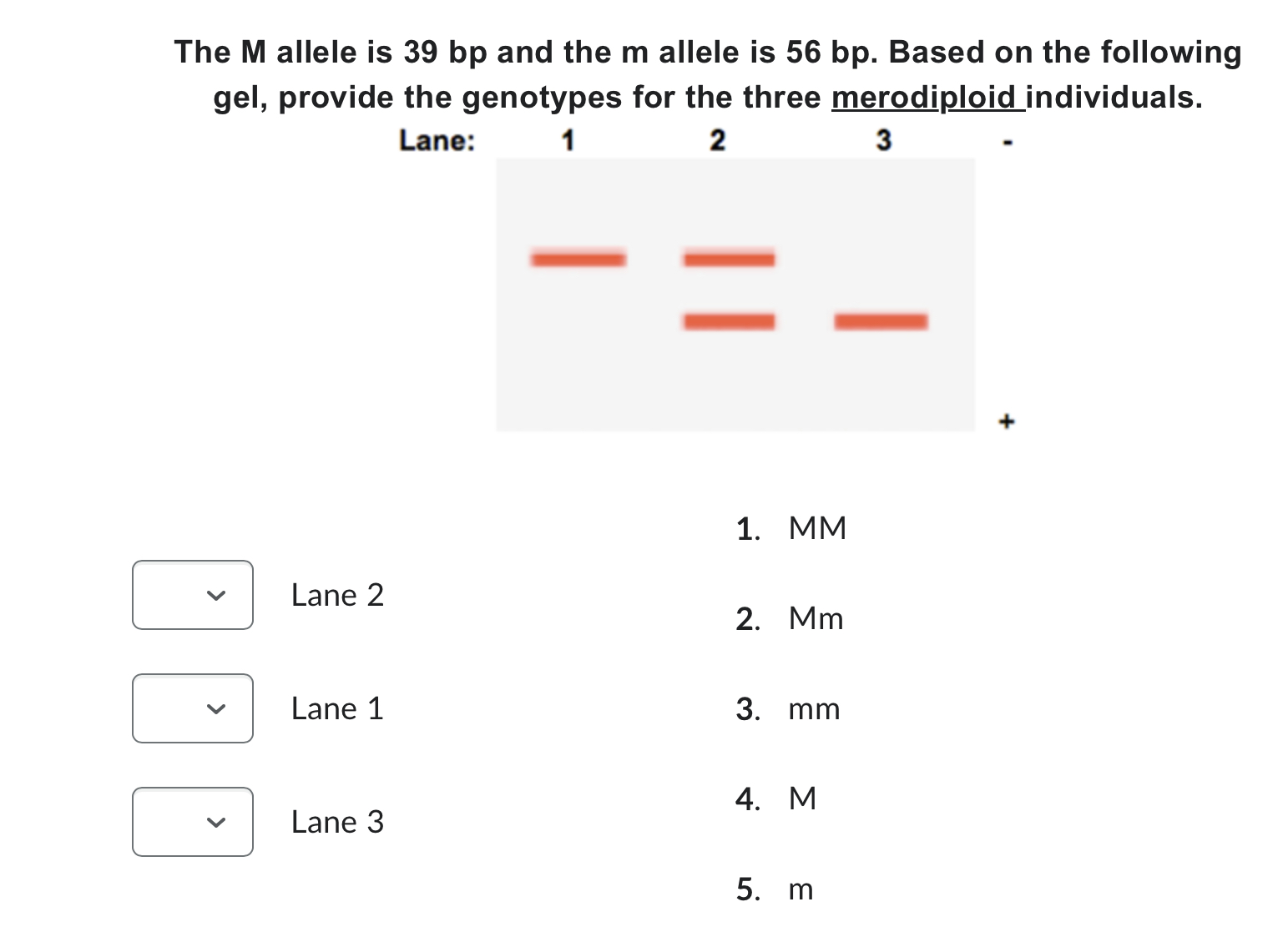 Solved Some of the genes carried on the (F,F+,F′ Hfr) factor | Chegg.com