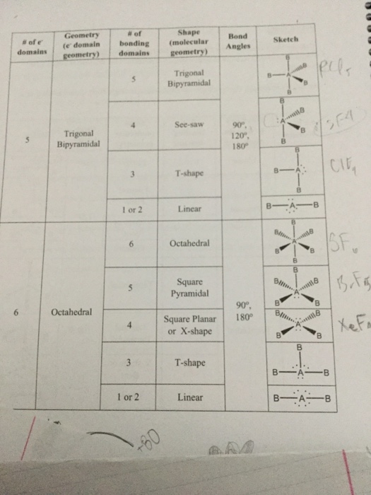 Solved Assign electron domain geometry. Molecular geometry, | Chegg.com Solved Assign electron domain geometry. Molecular geometry, | Chegg.com