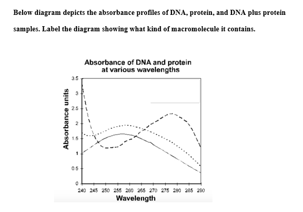 Solved Below diagram depicts the absorbance profiles of DNA, | Chegg.com
