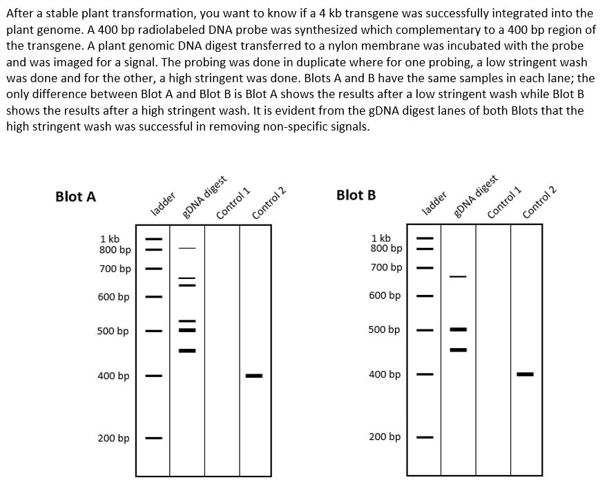 Solved Answer the questions below based on the given | Chegg.com