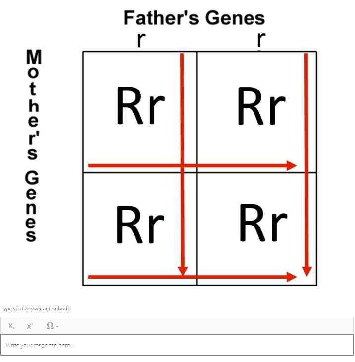 Solved In pea plants, round peas (R) are dominant to | Chegg.com