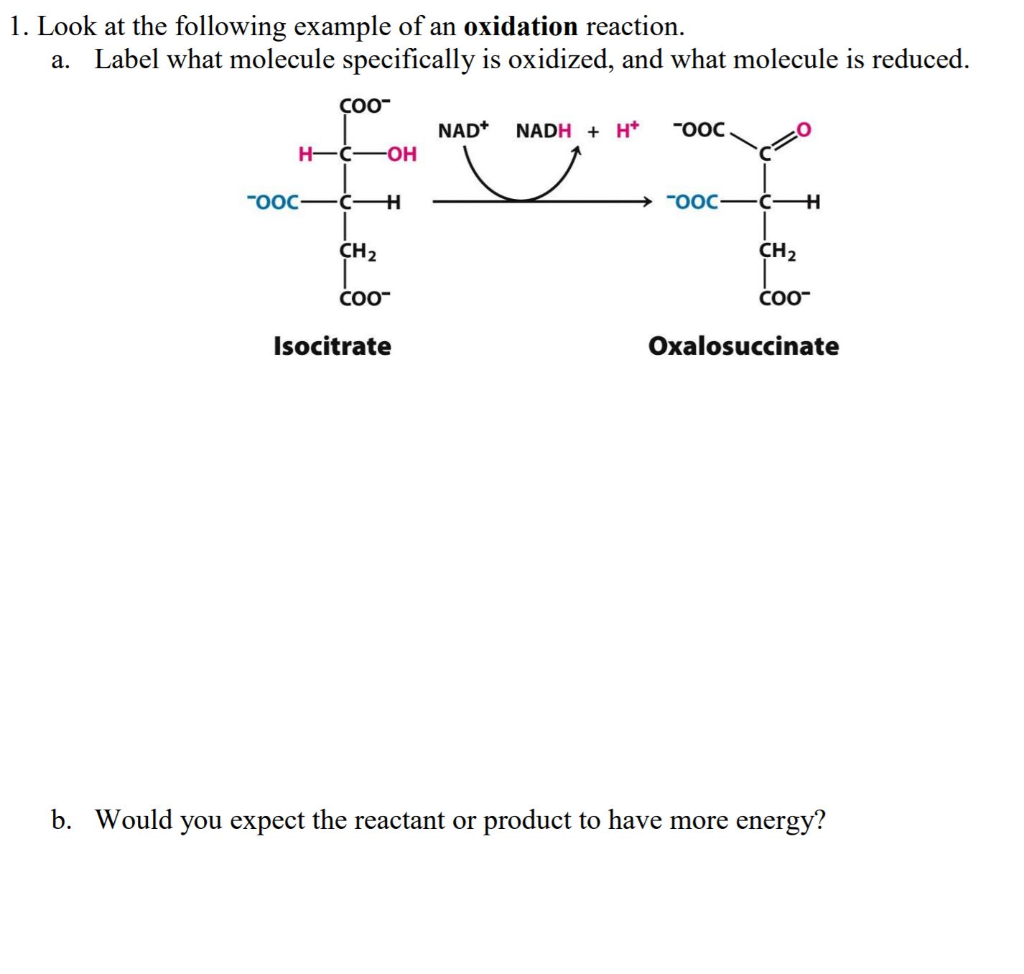 Solved 1. Look at the following example of an oxidation | Chegg.com