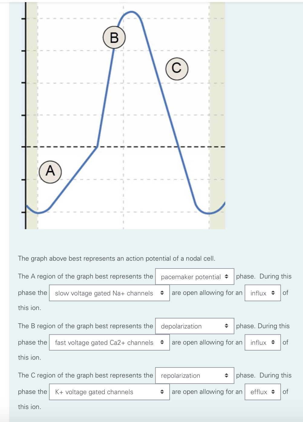 Solved B С A The graph above best represents an action | Chegg.com