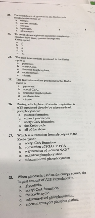 Solved e all excepE c Krebs cycle? b 3 12 24 The first | Chegg.com
