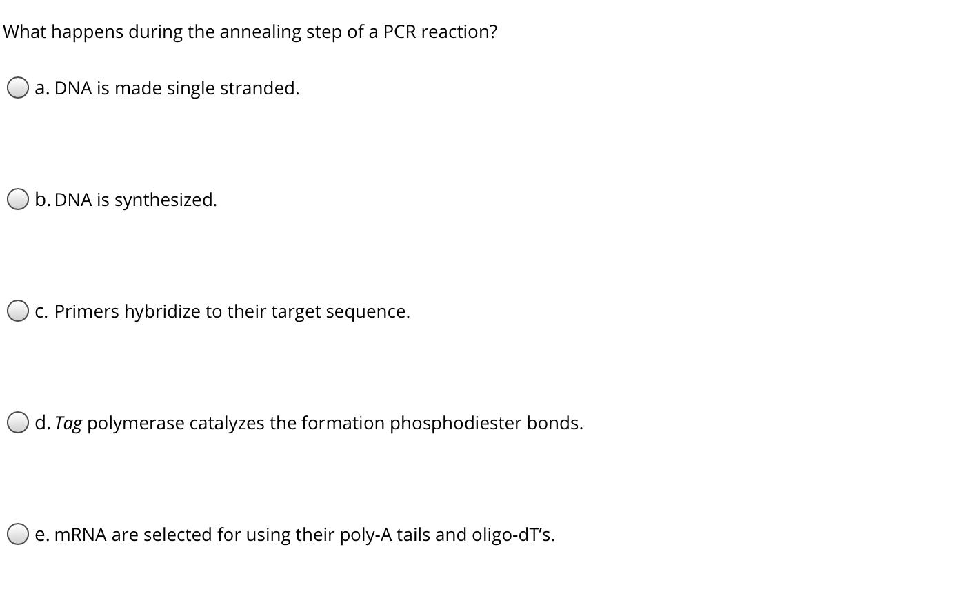 Solved What happens during the annealing step of a PCR | Chegg.com
