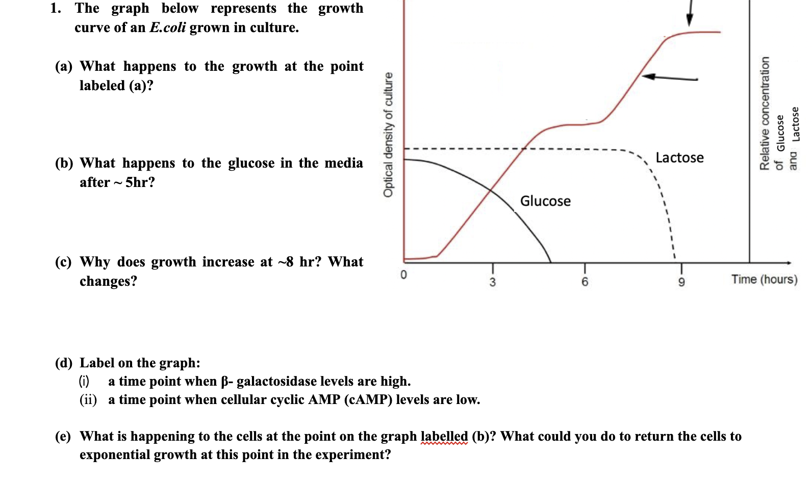 Solved 1. The graph below represents the growth curve of an | Chegg.com