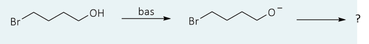 Solved Substitution reactions can occur as intramolecular | Chegg.com