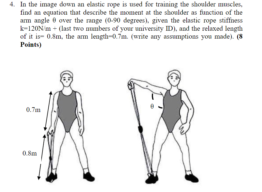 Solved 4. In the image down an elastic rope is used for | Chegg.com