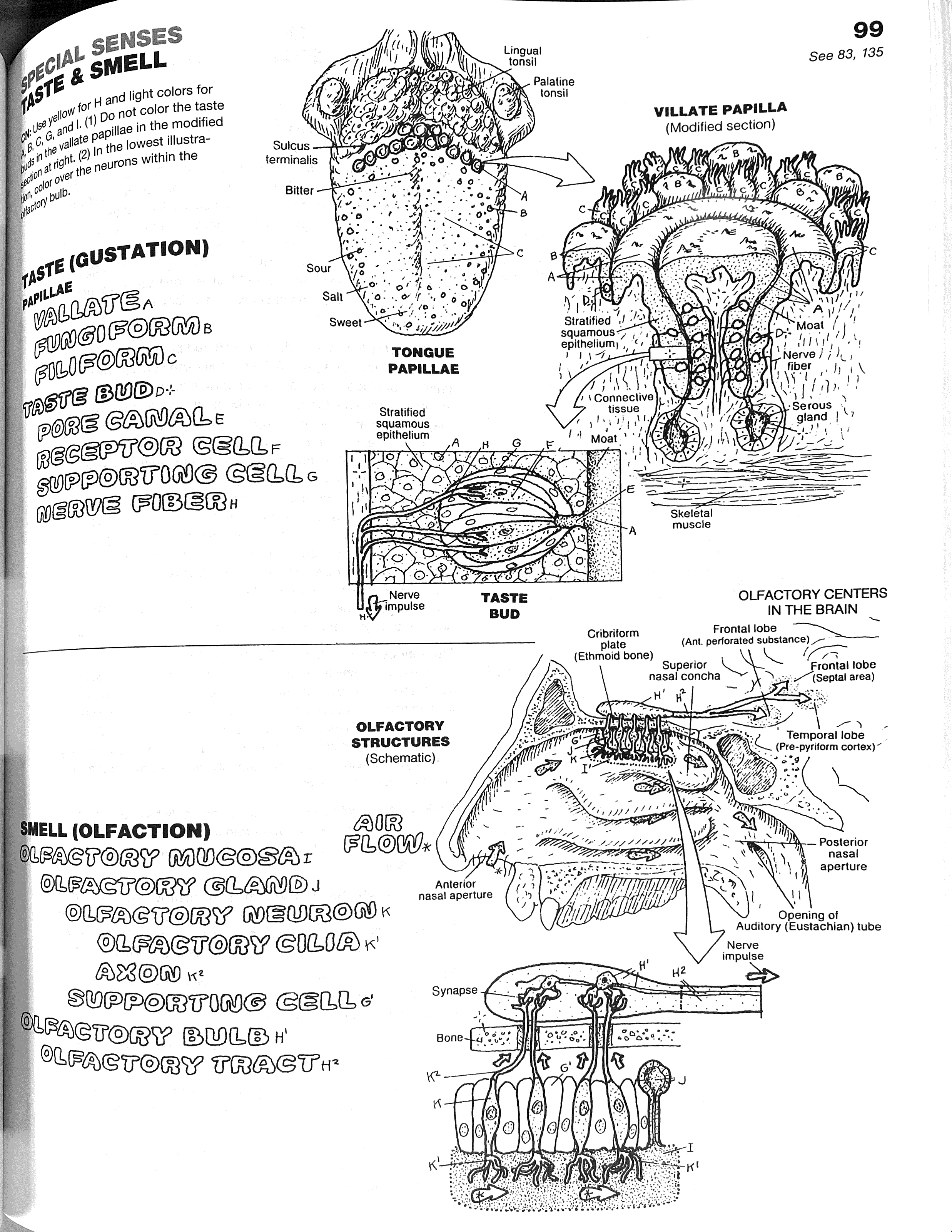 Solved Pls answer only if you are going to color the | Chegg.com