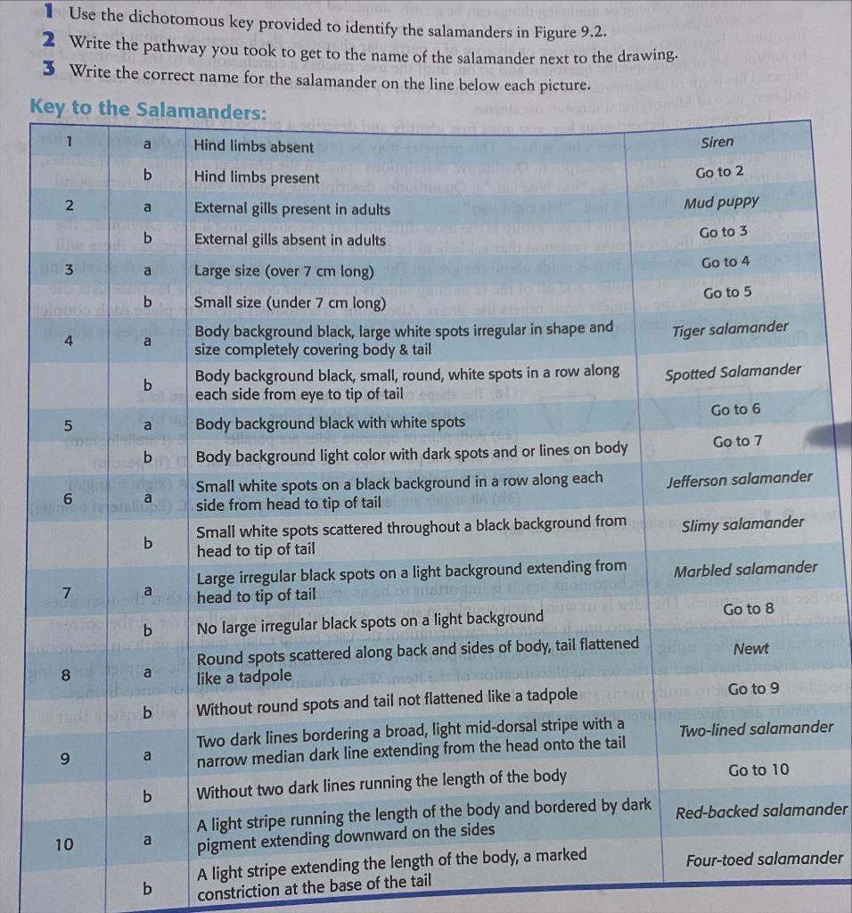 Solved 3: Using Dichotomous Keys Source: | Chegg.com