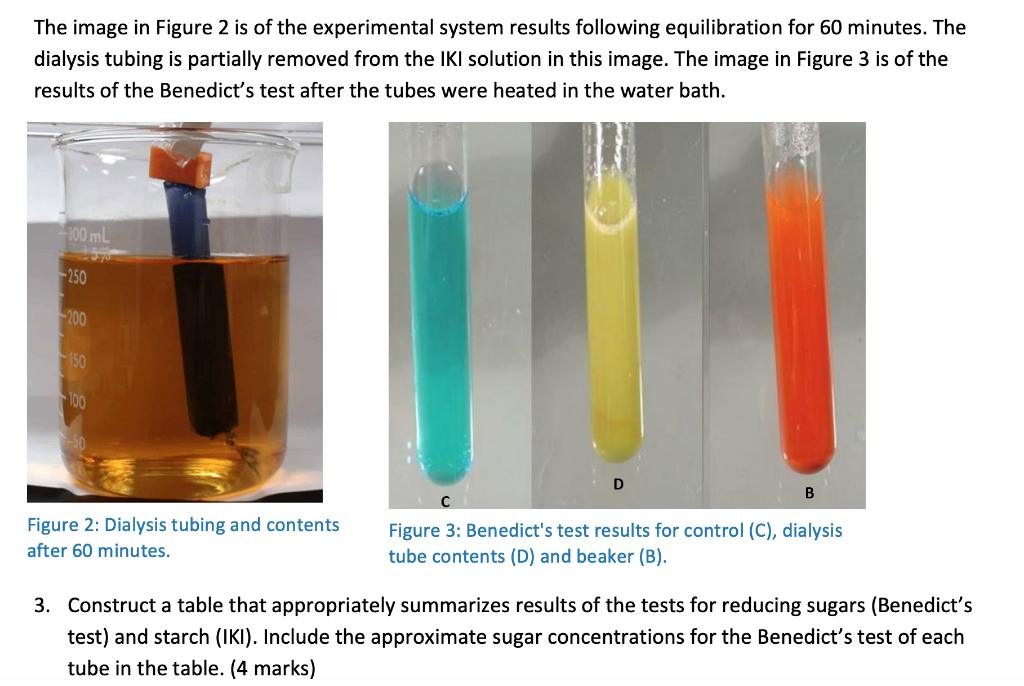 Solved The image in Figure 2 is of the experimental system | Chegg.com