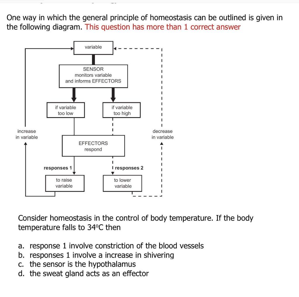 Solved One way in which the general principle of homeostasis | Chegg.com