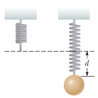 Solved A physics teacher has suspended a spring from a | Chegg.com