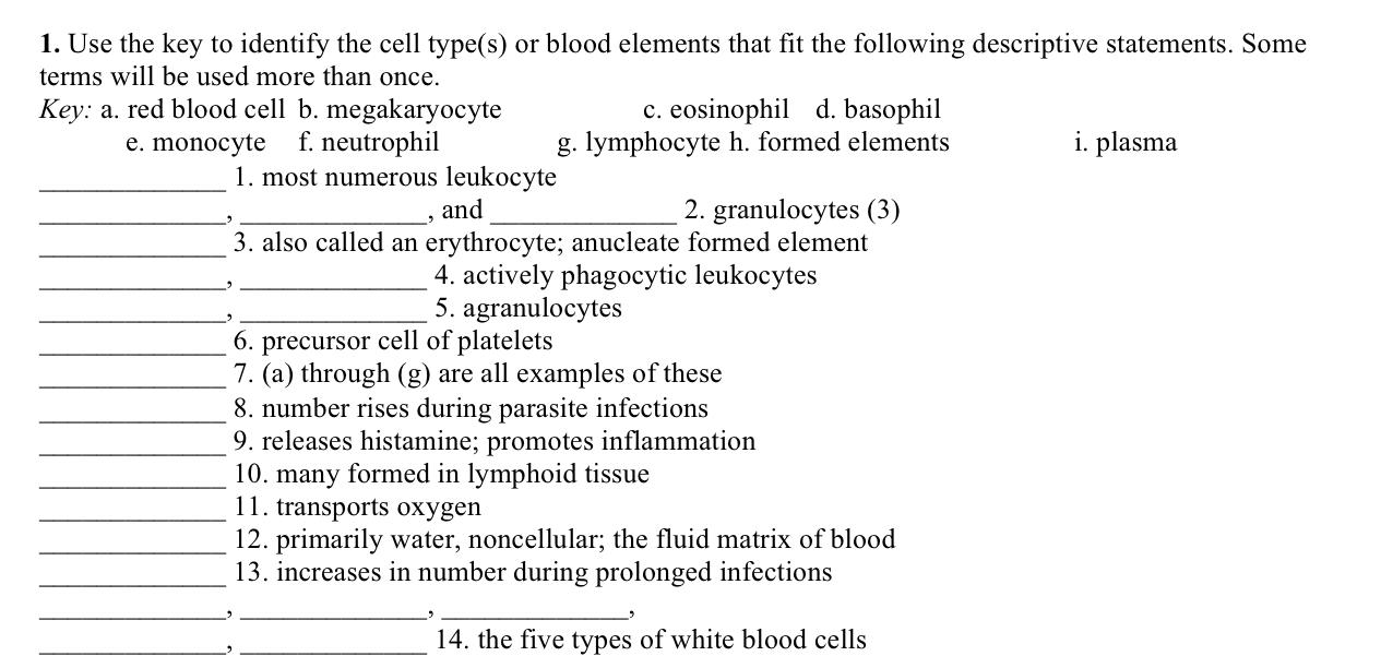 Solved 1. Use the key to identify the cell type(s) or blood | Chegg.com