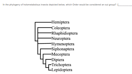 Solved For the following two insects A & B, indicate what | Chegg.com