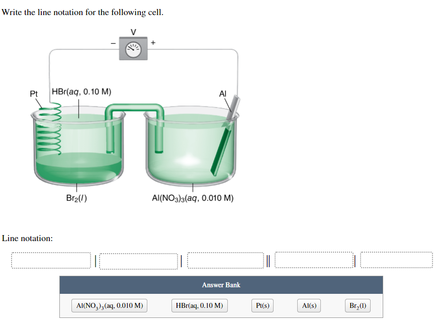 Solved Write the line notation for the following cell. Line | Chegg.com