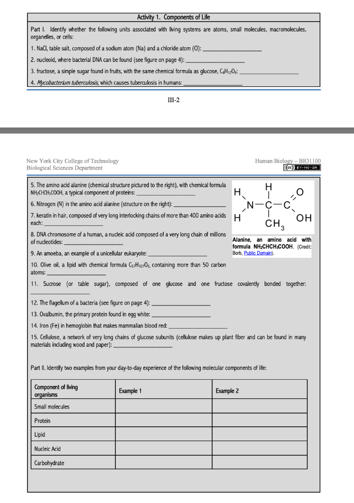 Solved Activity 1. Components of Life Part I. Identify | Chegg.com