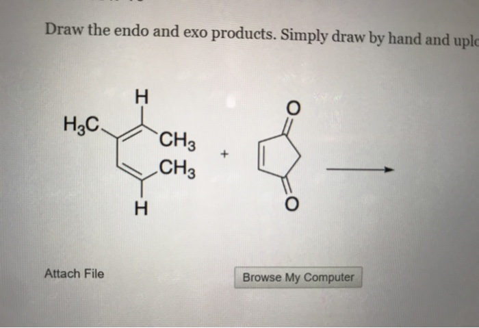 Solved Draw the endo and exo products. Simply draw by hand | Chegg.com