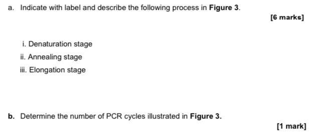 Solved 4. Figure 3 illustrates the amplification process of | Chegg.com